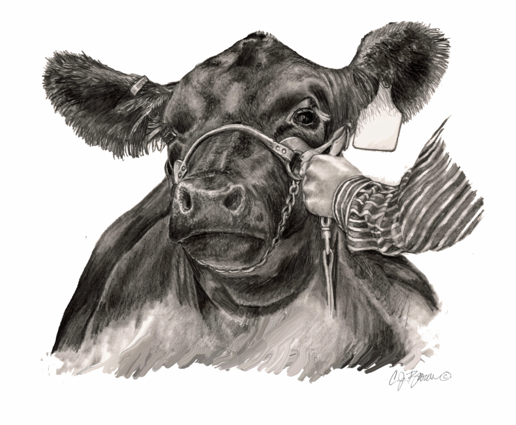 Halter Power - C.J. Brown Studios