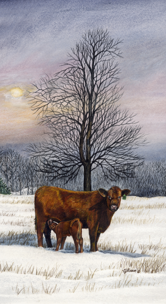 Dawn's Early Light - C.J. Brown Studios