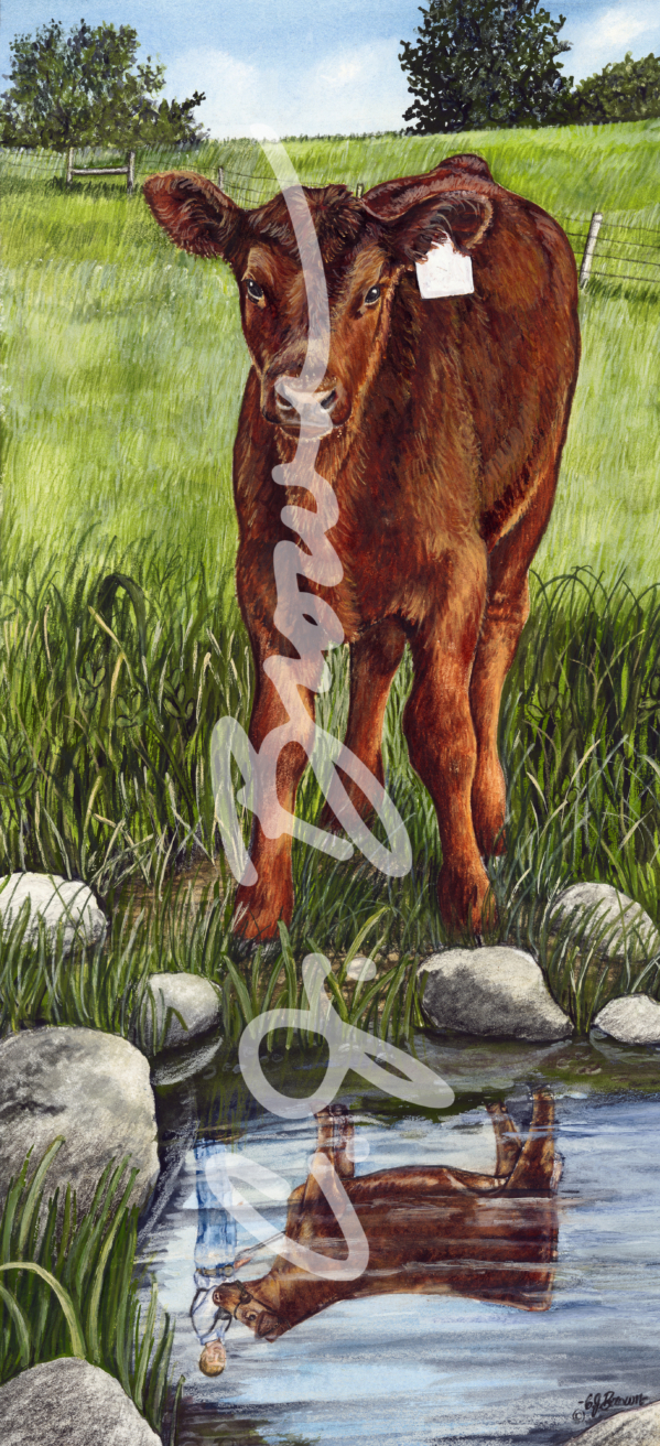 Red Reflections - C.J. Brown Studios